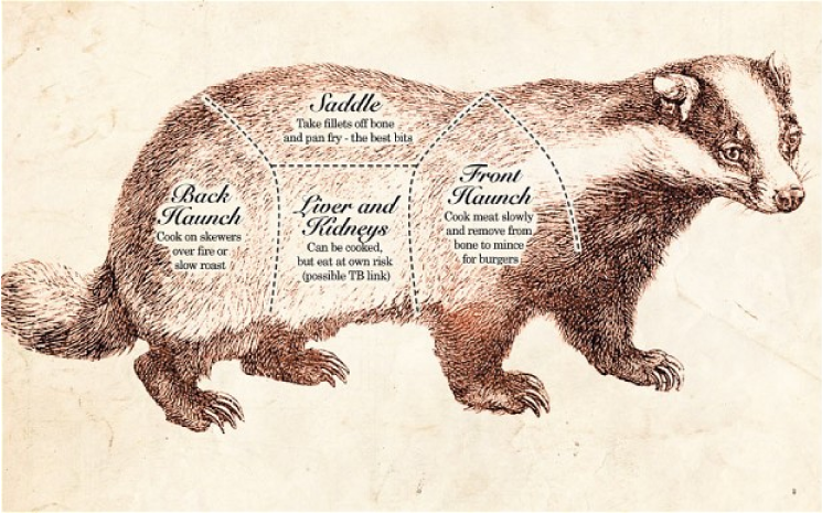 MMMM, BADGER… – BUTTYLICIOUS